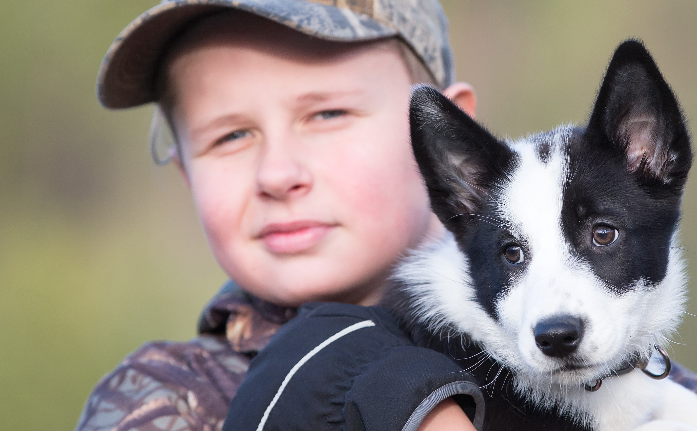 Koiran hyvinvointi | Suomen Kennelliitto