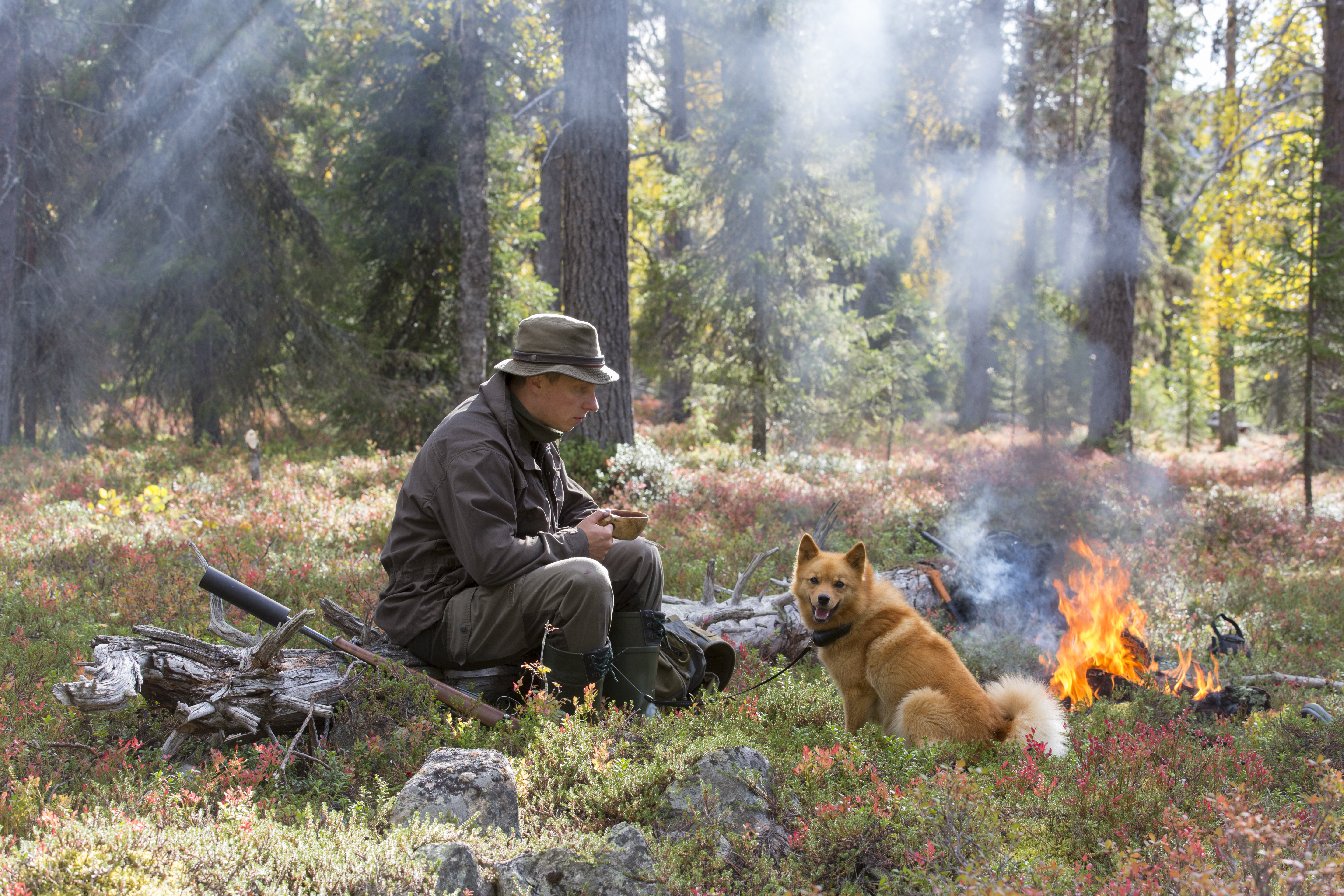 Finnish breeds | The Finnish Kennel Club