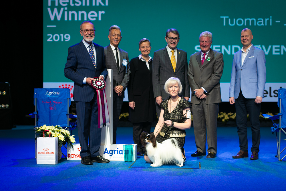Papillon oli Pohjoismaisen Helsinki Winner 2019 -näyttelyn paras koira ...