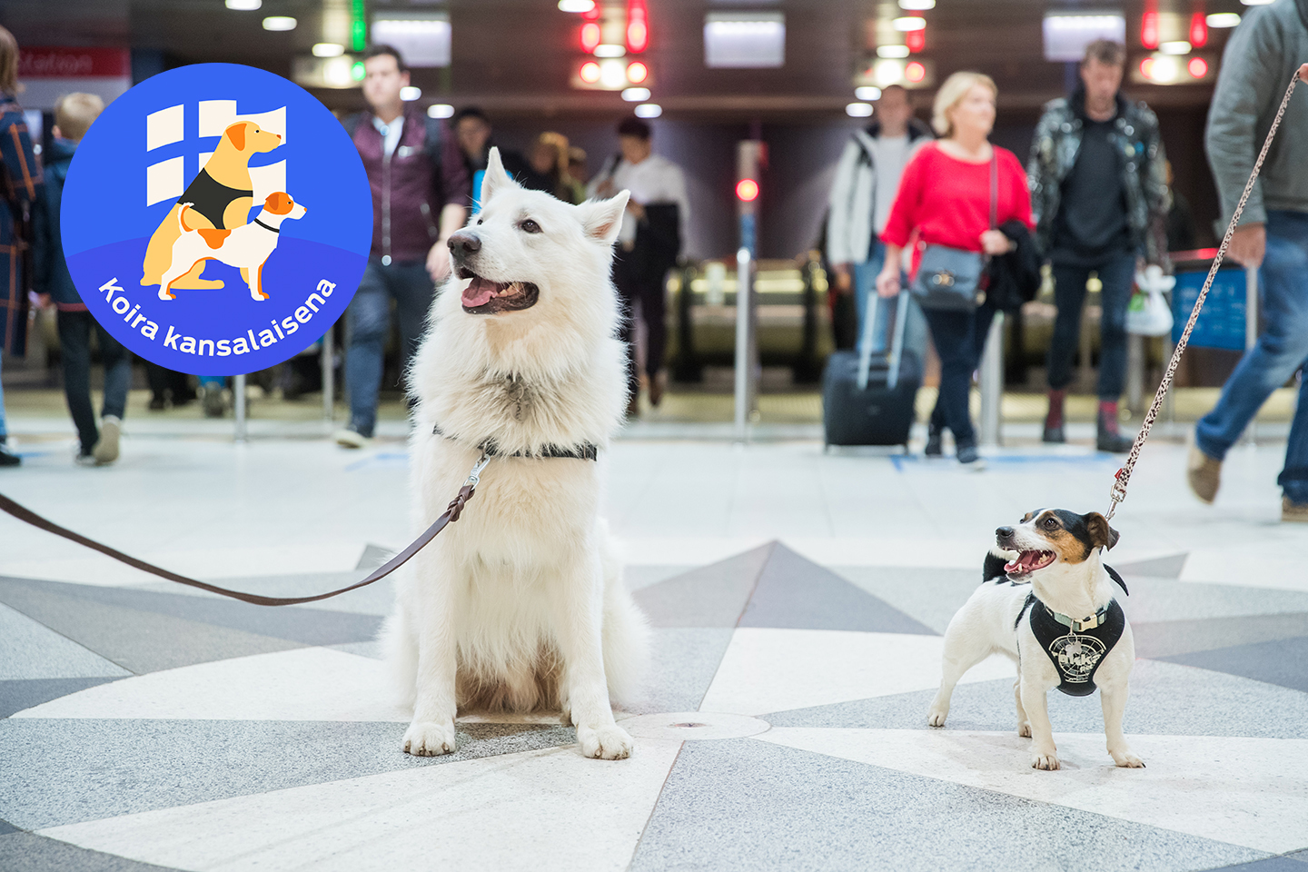 2023 Koira kansalaisena | Suomen Kennelliitto