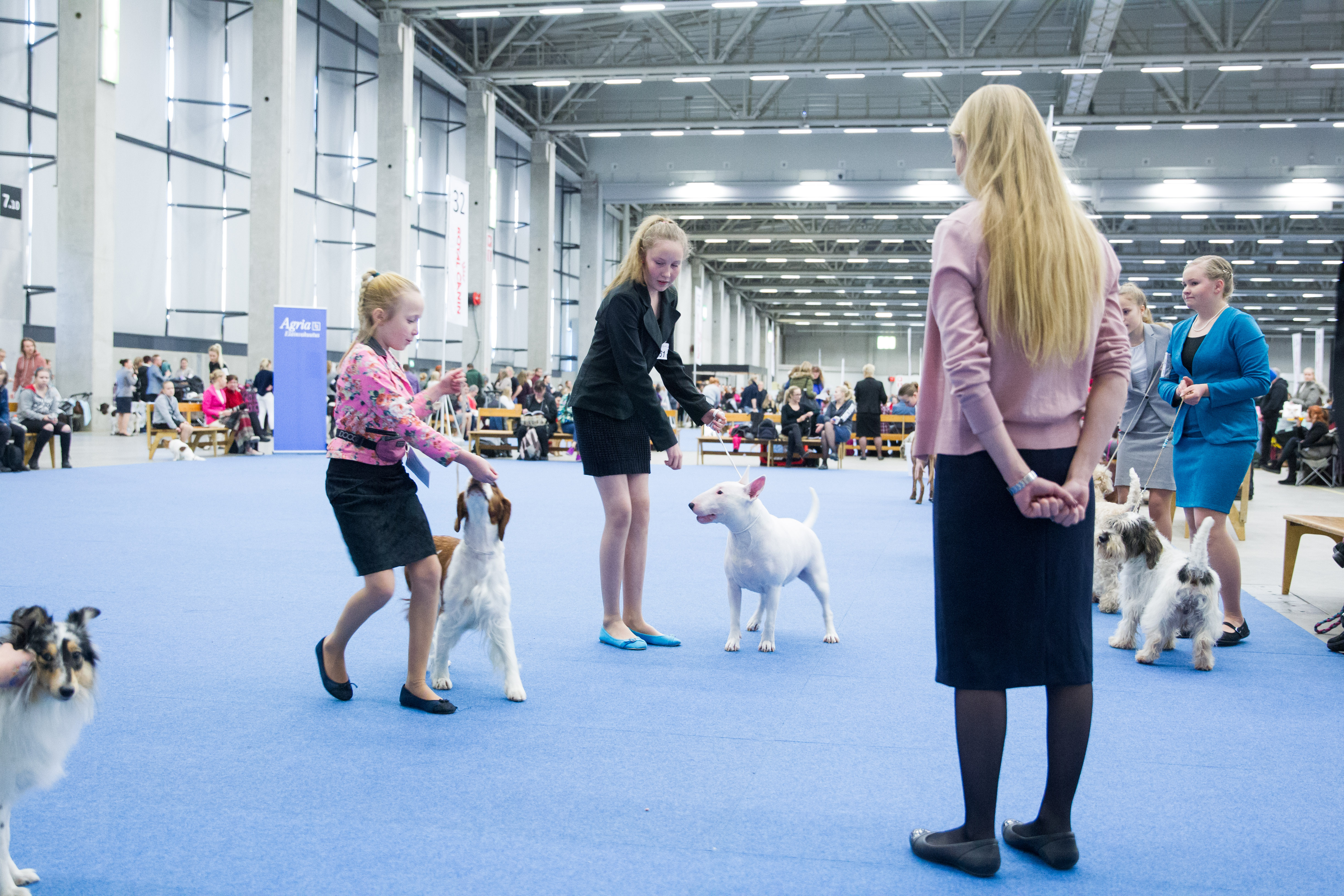 Muutoksia junior handler -kilpailuiden ilmoittautumismaksuihin ensi ...
