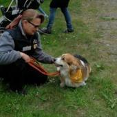 Kennelpiirien kaverikoiravastaavat esittäytyvät | Suomen Kennelliitto