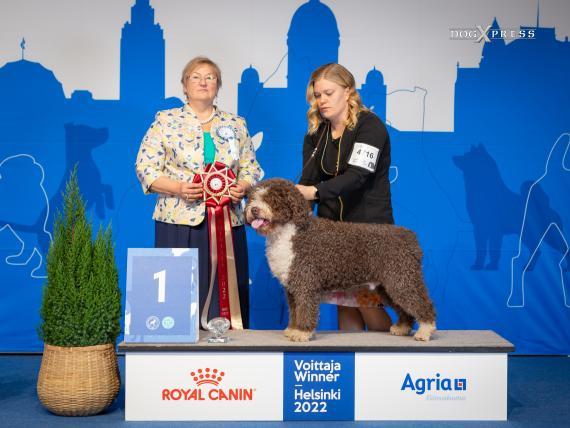 Portugalinvesikoira oli Voittaja 2022 -näyttelyn paras koira | Suomen ...